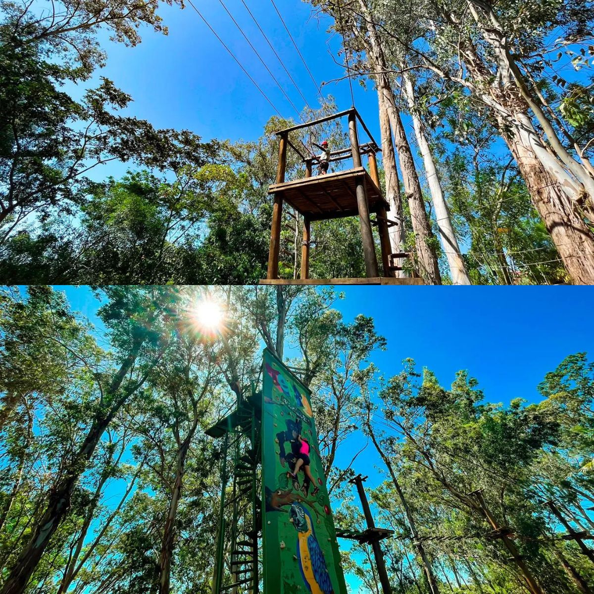 Terra Parque Eco Resort | Maravilhas pelo Brasil