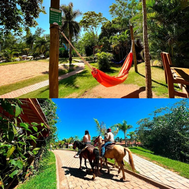 Terra Parque Eco Resort | Maravilhas pelo Brasil